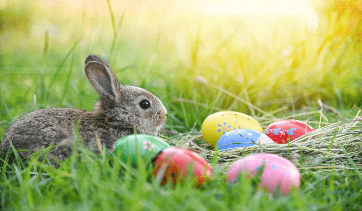 Easy & Fun Easter Activities for Kids